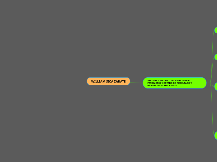 Sección 6 Estado de Cambios en el Patrimon...- Mind Map